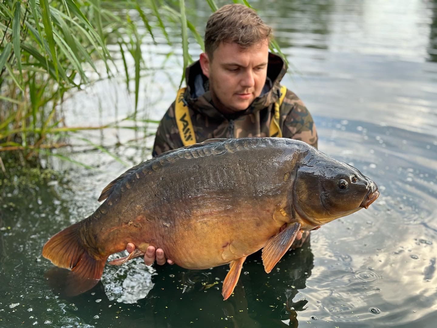 34lb woolpack mirror | Total Carp